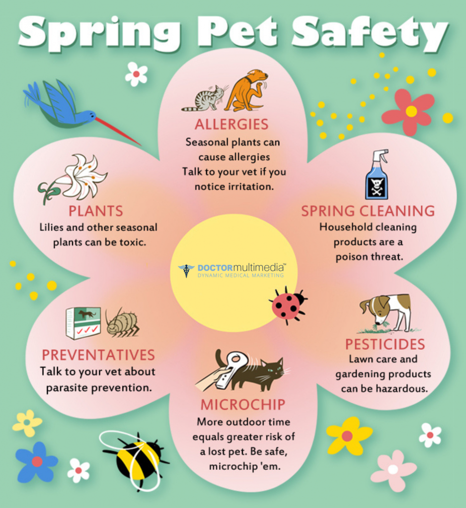 Spring Pet Care Safety | Lincoln Avenue Veterinary Clinic
