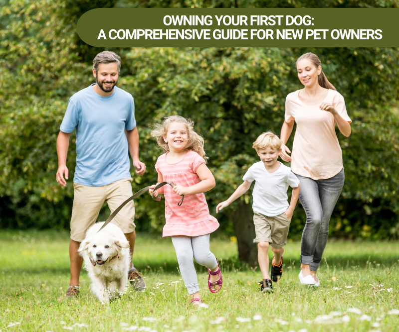 Owning Your First Dog: A Comprehensive Guide for New Pet Owners ...